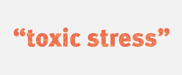 Stress and Resilience: How Toxic Stress Affects Us and What We Can Do ...